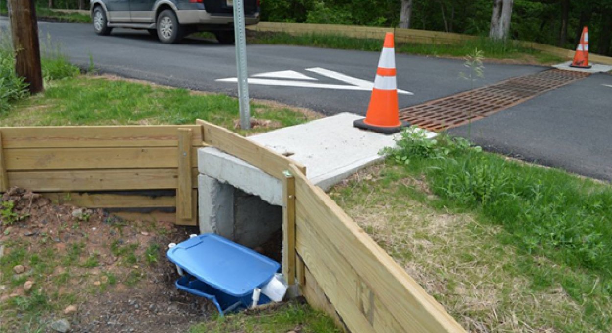 Underground Toad Road Provides Safer Commute For Small Animals – NJ.com ...