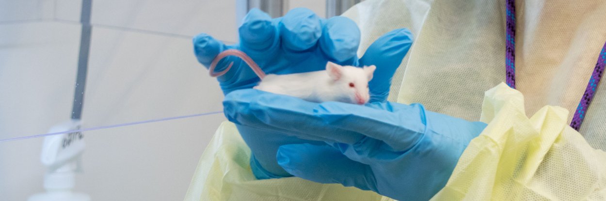 Animal Transfer – College Of Science And Mathematics - Montclair State ...