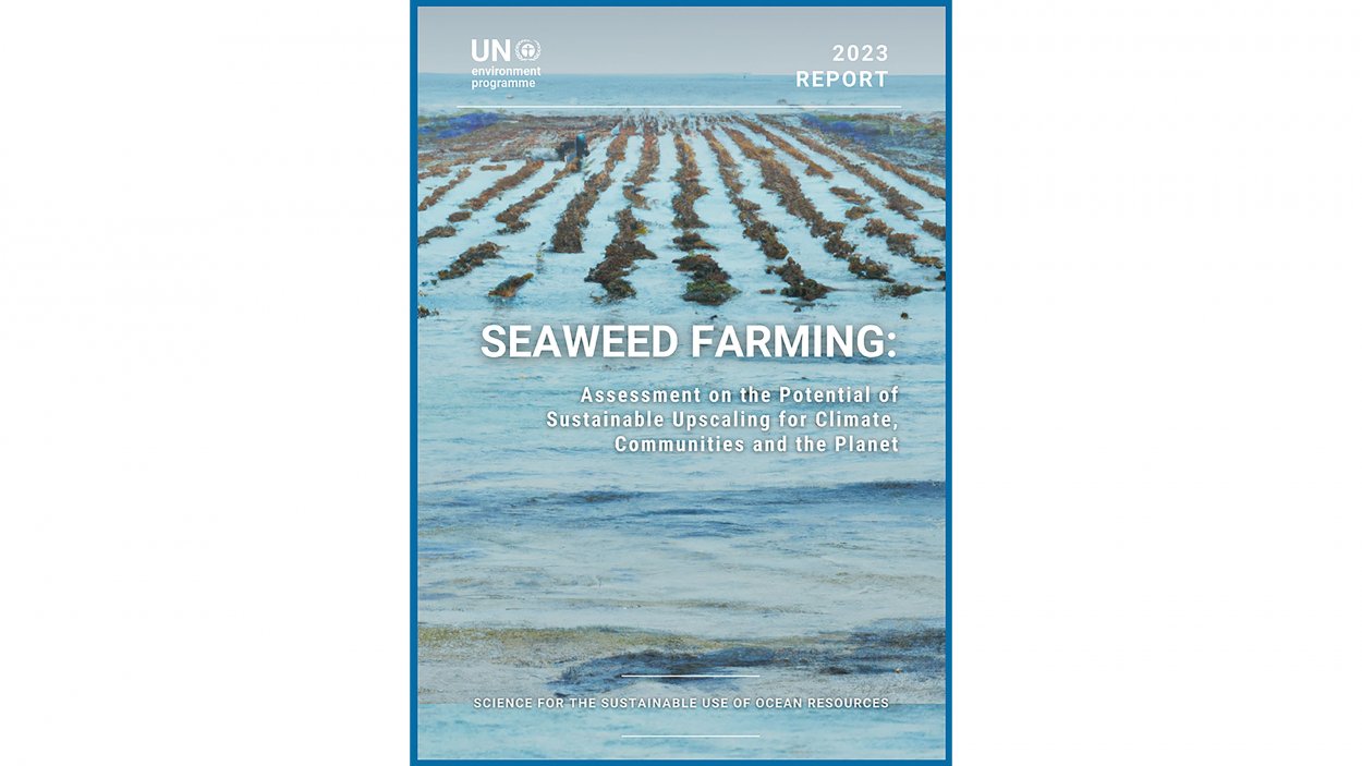 Seaweed Farming – College Of Science And Mathematics - Montclair State ...