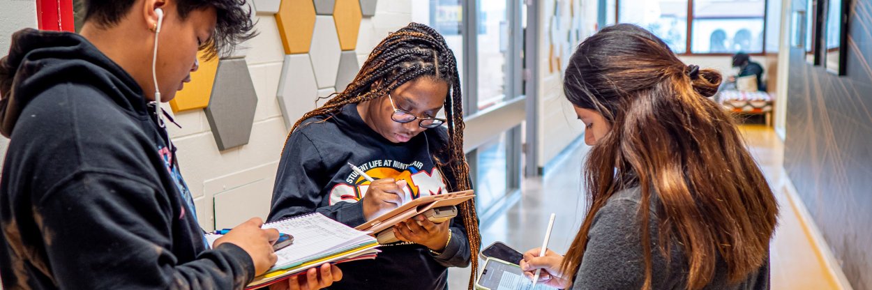 Meet With An Advisor – College Of Science And Mathematics - Montclair ...