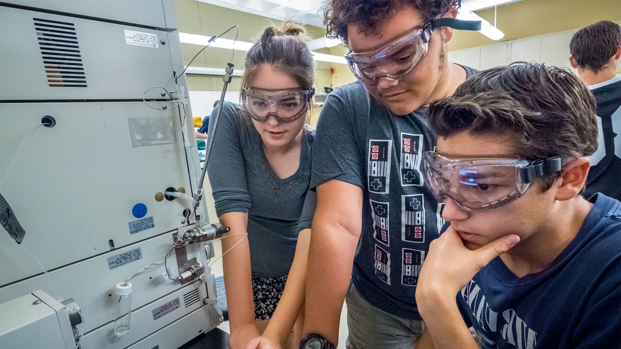 Program Structure – College Of Science And Mathematics - Montclair ...