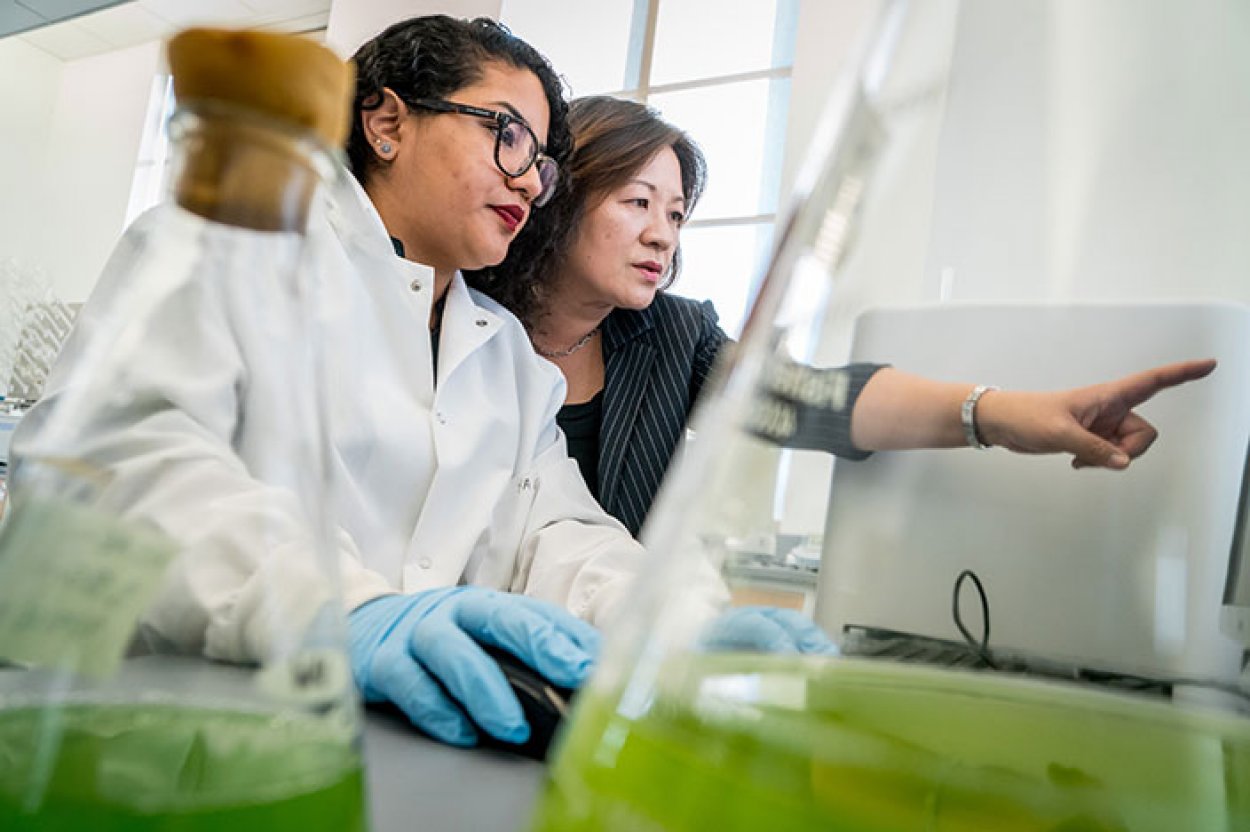 Helping STEM Pioneers Succeed – Earth And Environmental Studies ...