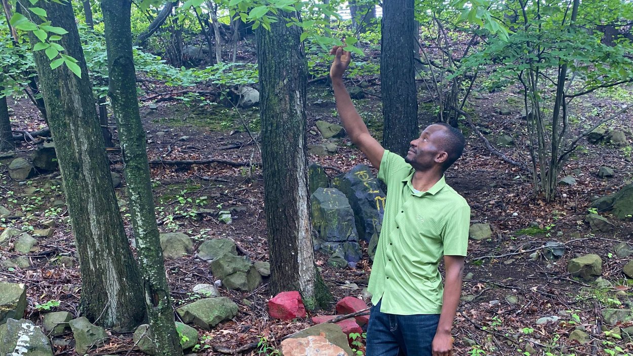 Doctoral Candidate Named As Recipient Of The 2025 TLCNJ Environmental Scholarship ...