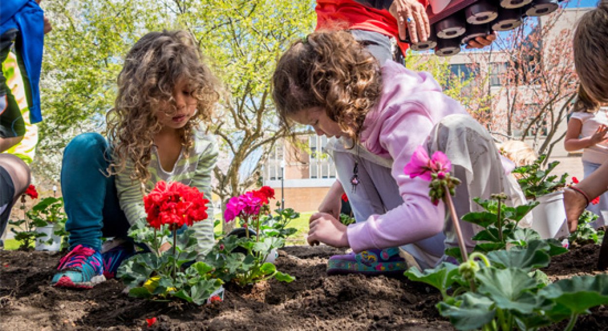 Bradford School Students Plant 250 Flowers For Earth Day – University ...