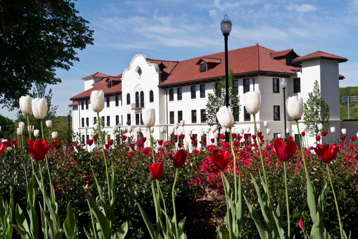 Faculty Showcases – Office For Faculty Excellence - Montclair State ...