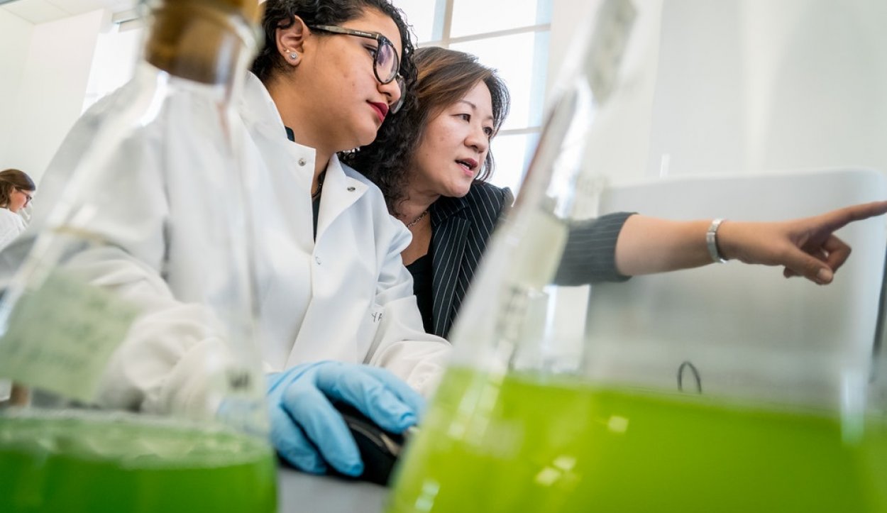 Chemistry (Combined Bachelor’s / Master Of Arts In Teaching) – Graduate ...