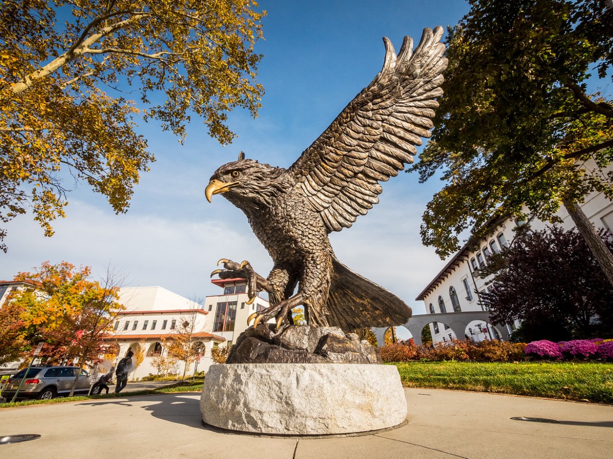 Red Hawk Dollars – ID Cards - Montclair State University