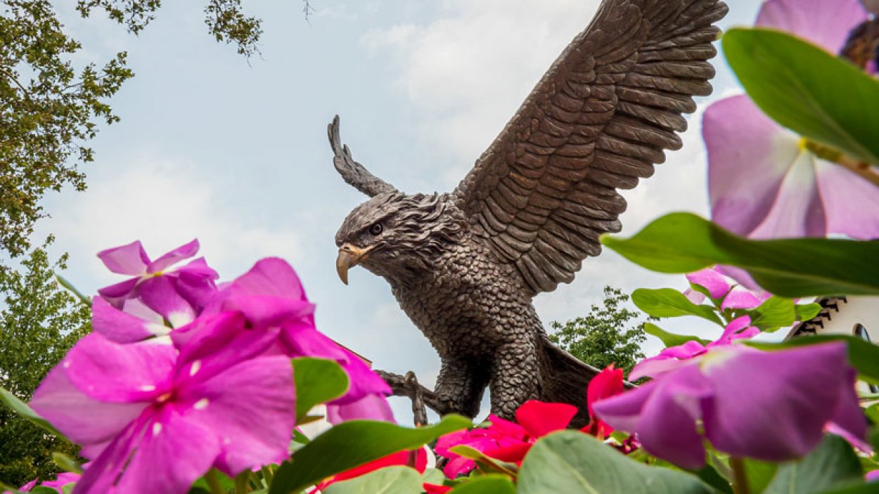 Replacement Cards – ID Cards - Montclair State University