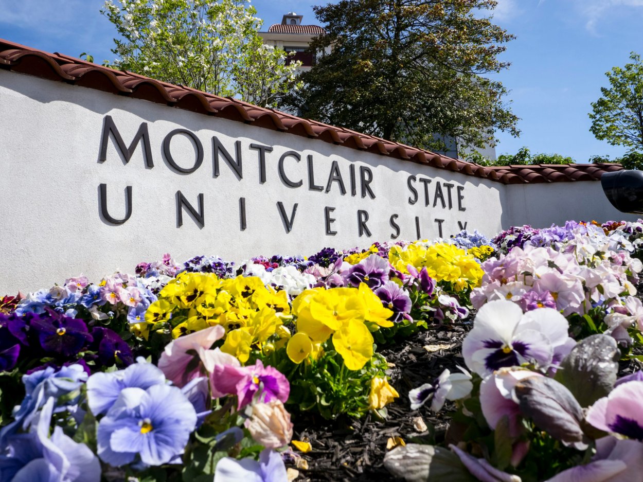 Sprague Library Summer Hours, Services & Spaces – University Libraries ...