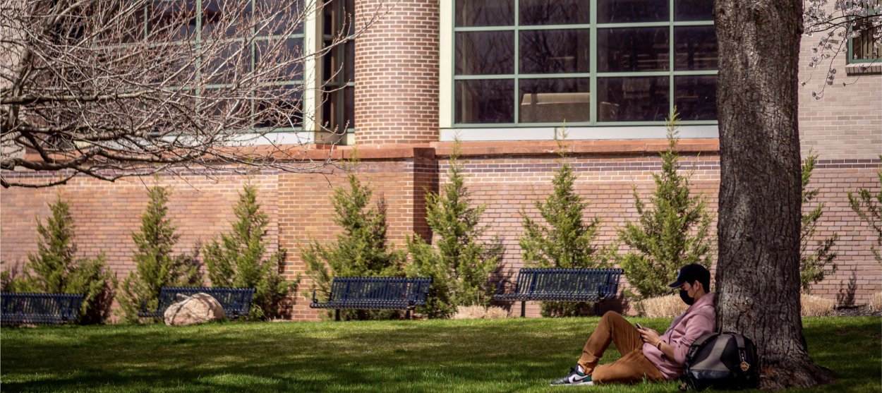 Services For Alumni – Harry A. Sprague Library - Montclair State University