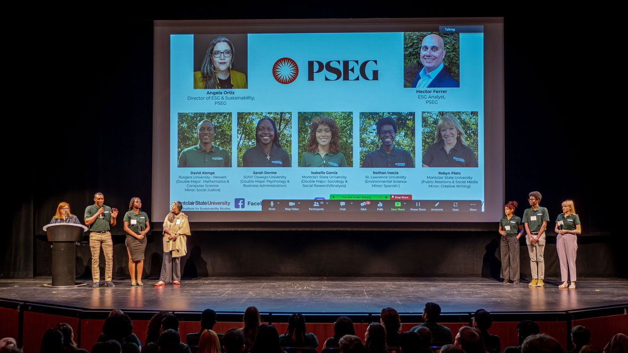 Trailblazing The Path To Sustainability – PSEG Institute For ...