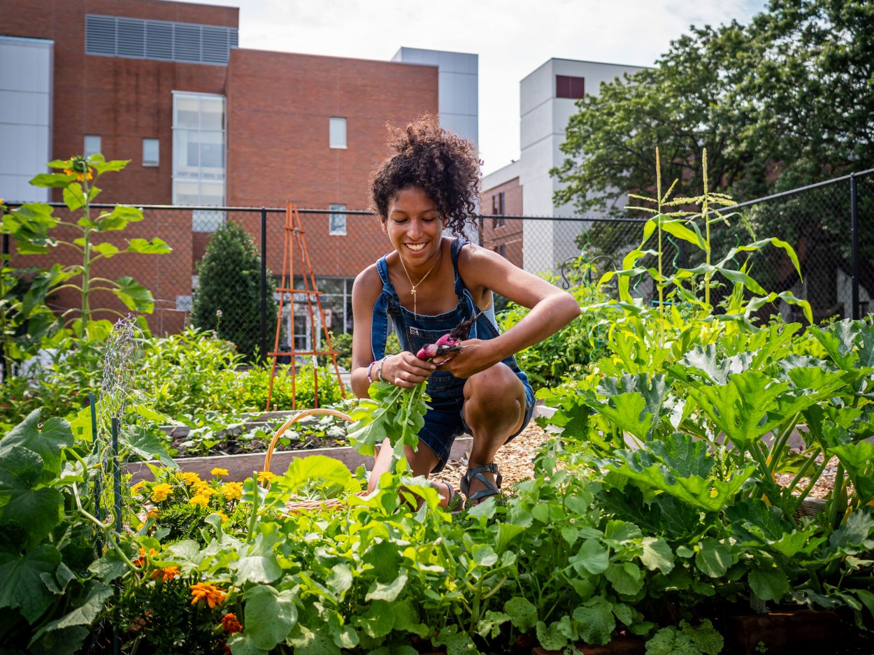 An ‘Urban Garden’ Takes Root On Campus – PSEG Institute For ...