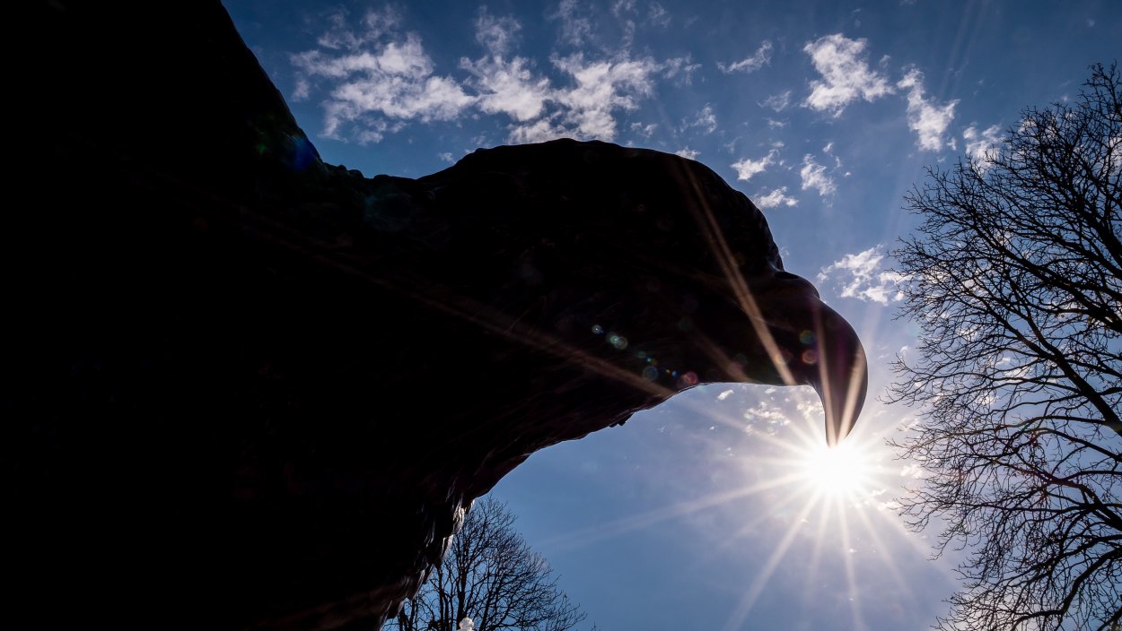 Pride And Traditions – Red Hawk Life - Montclair State University