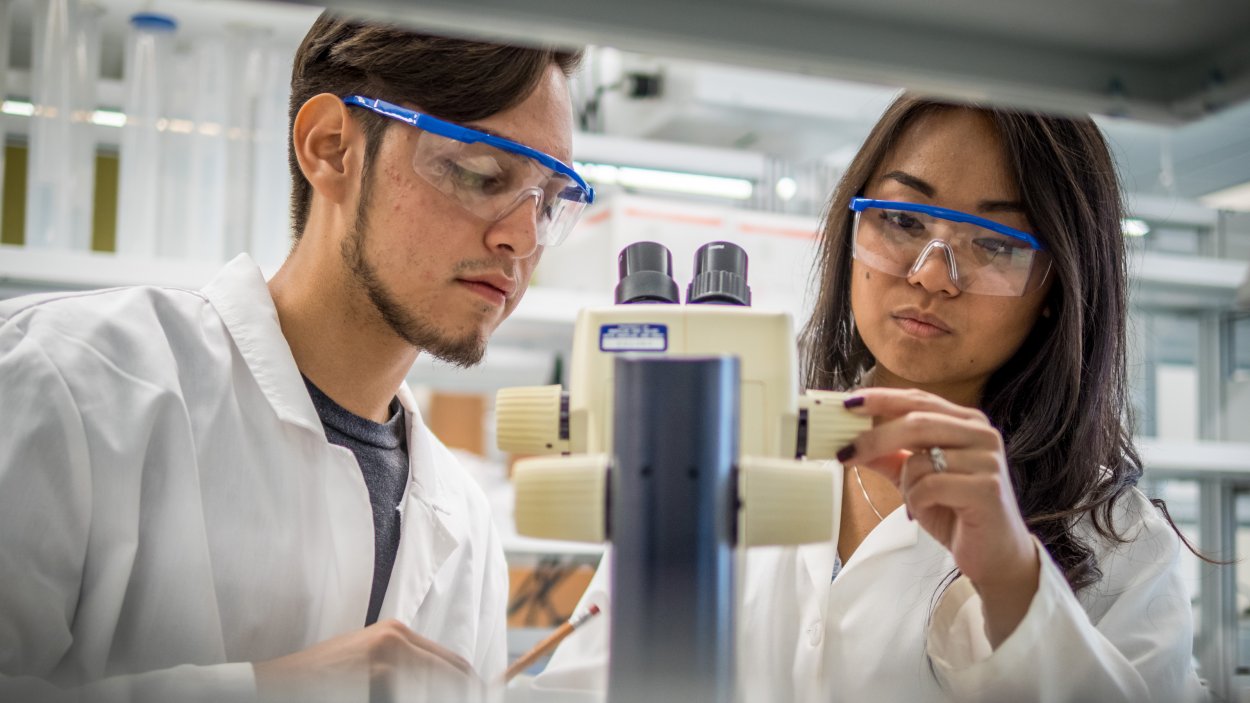 Affiliated Faculty – The Sokol Institute - Montclair State University