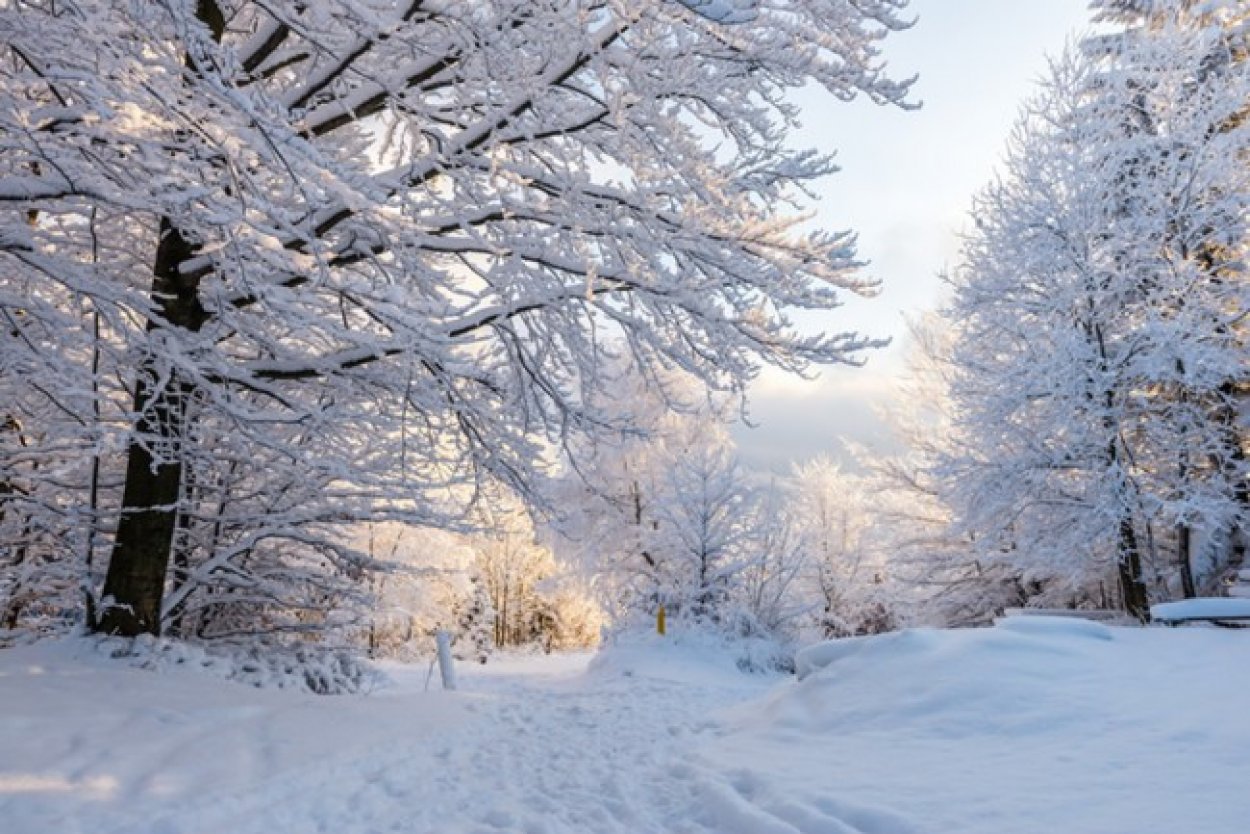 Finding Stillness – Student Health Center - Montclair State University