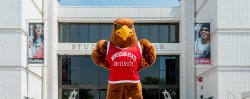 Rocky The Red Hawk – Student Services - Montclair State University