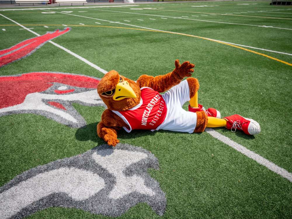 Red Hawk Mascot Costume