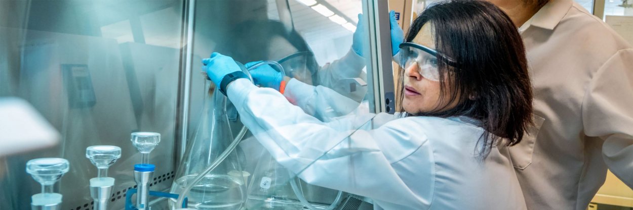 Total Coliforms And E. Coli – New Jersey Center For Water Science And ...