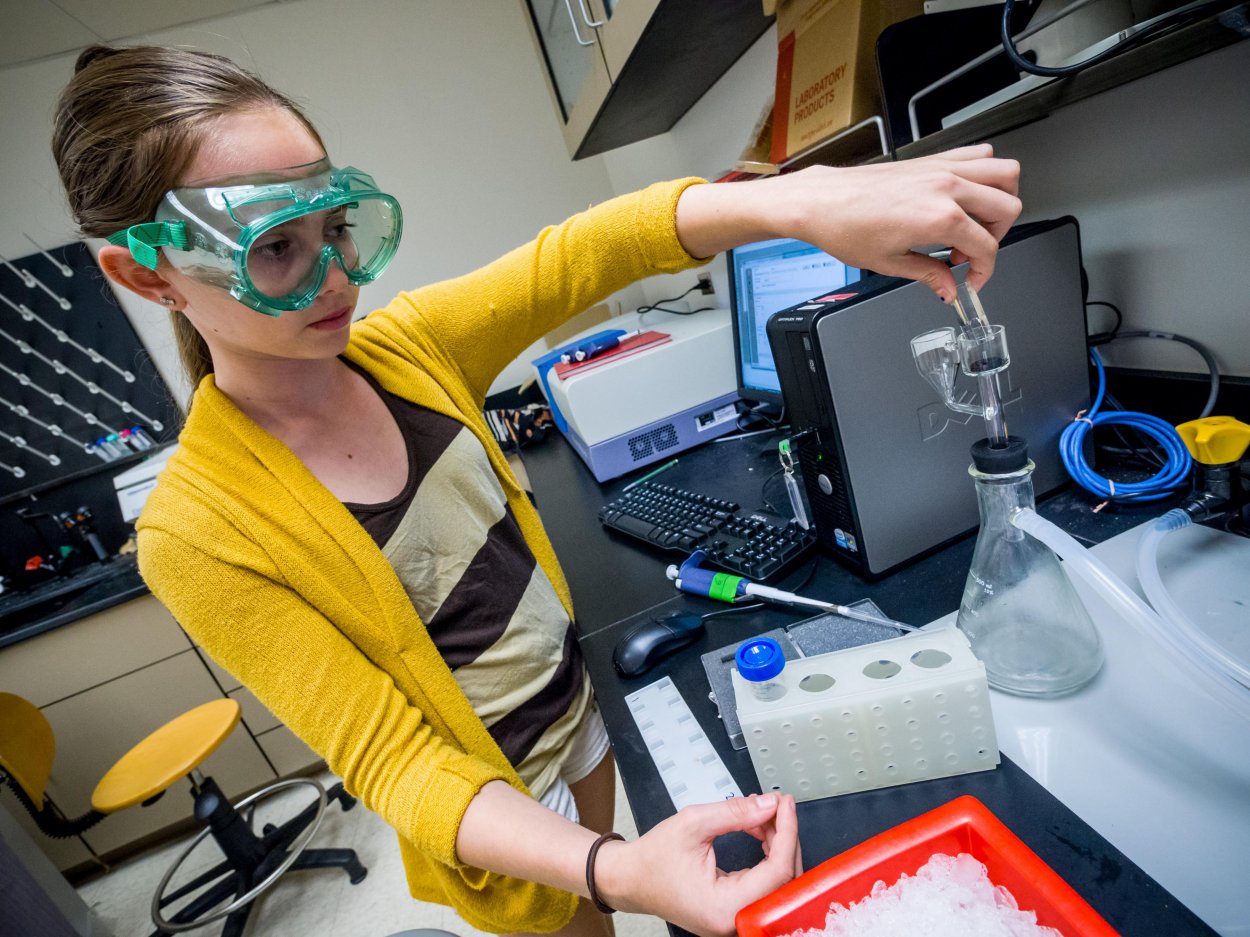 Admission Criteria And Program Requirements – Weston Science Scholars ...