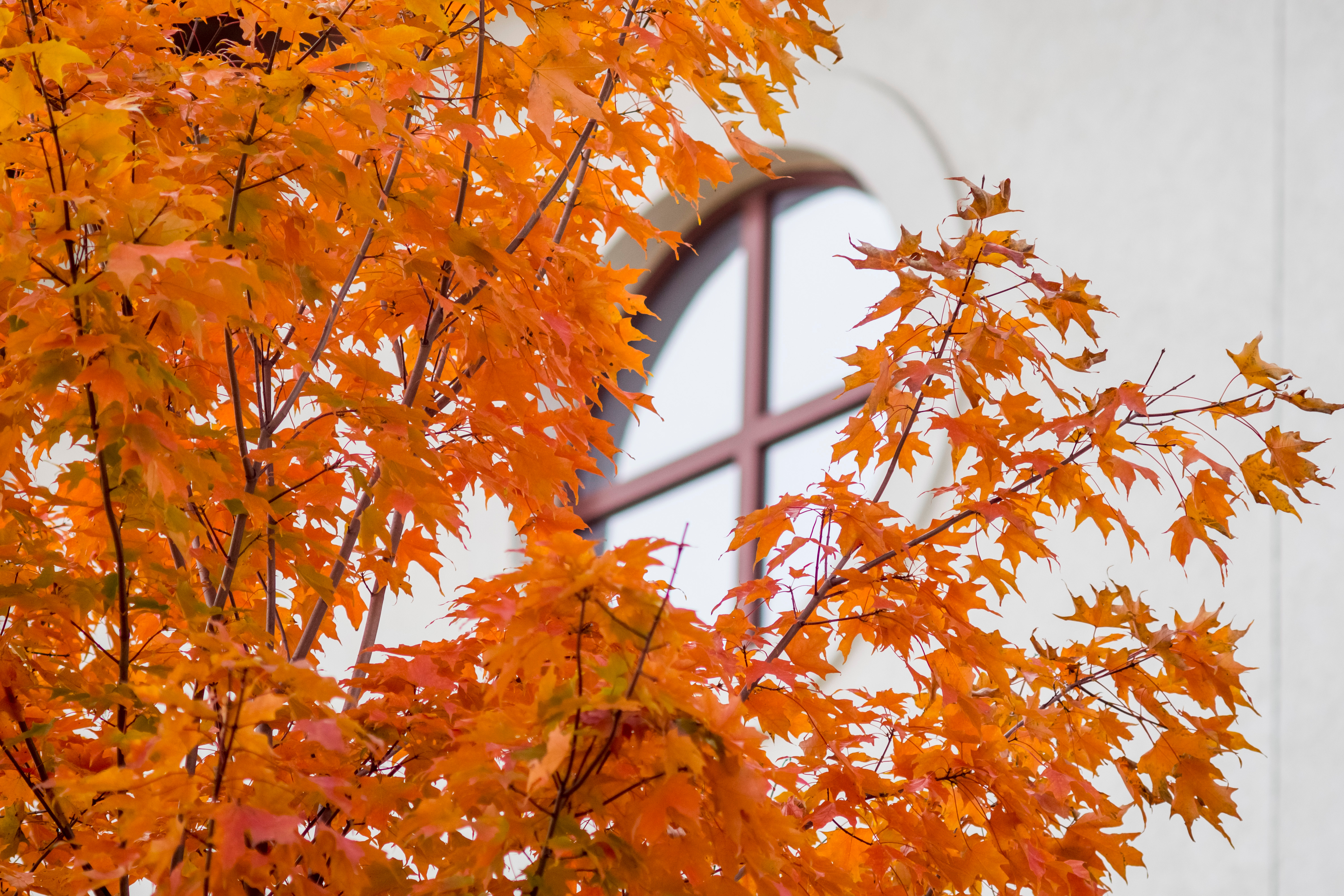 Student Health Center - Montclair State University