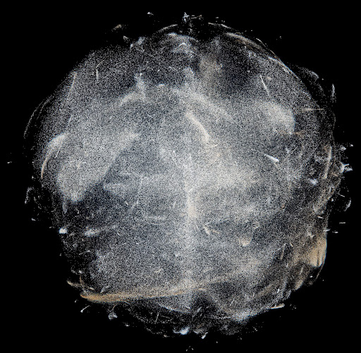 Theatre And Dance Season – Department Of Theatre And Dance - Montclair ...