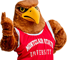 Red Hawk Brand Guide – University Communications And Marketing ...