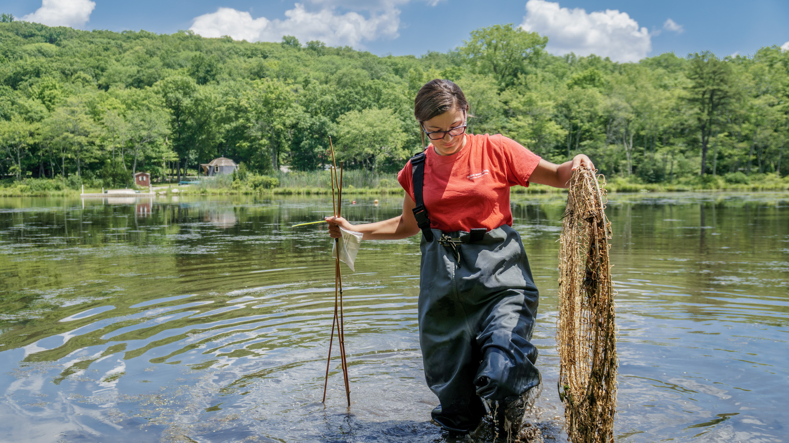 Colors – University Communications And Marketing - Montclair State ...