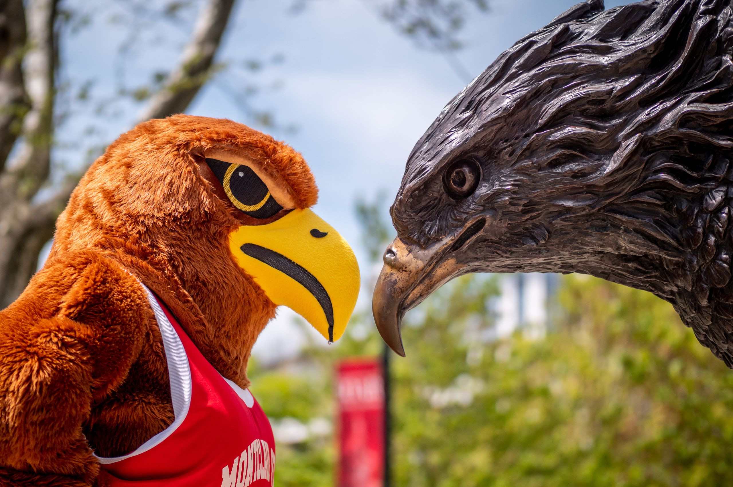 Red Hawk Brand Guide – University Communications And Marketing ...