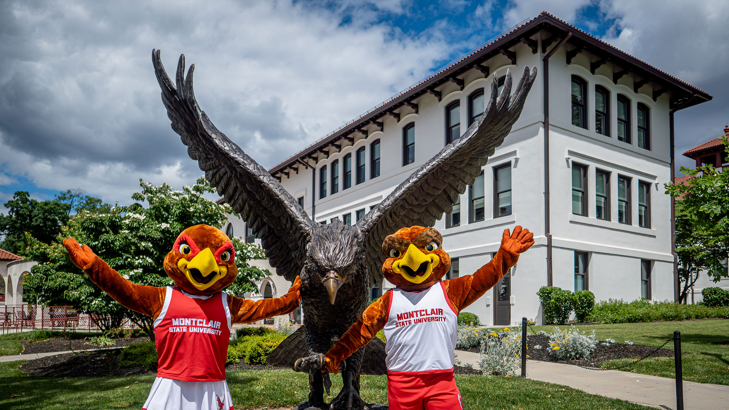 Red Hawk Brand Guide – University Communications And Marketing ...