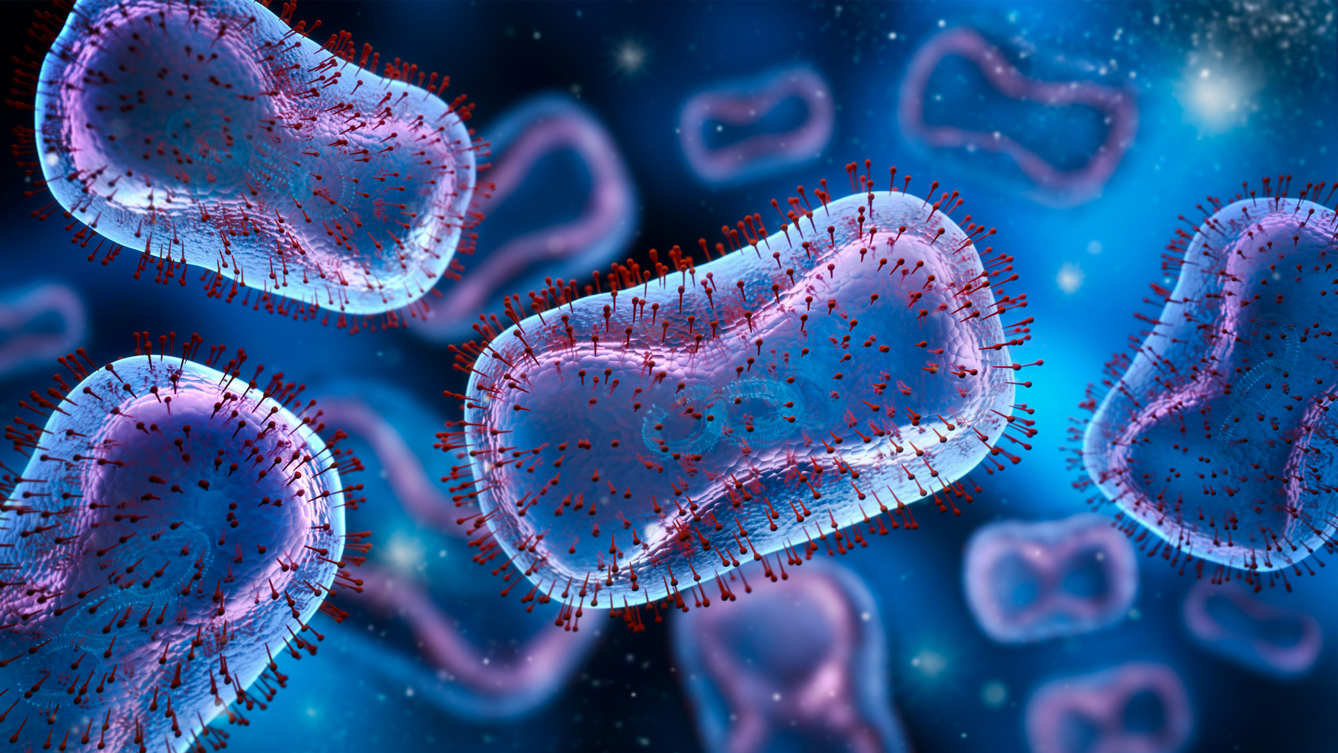 Monkeypox (MPX) Virus – University Health Center - Montclair State ...