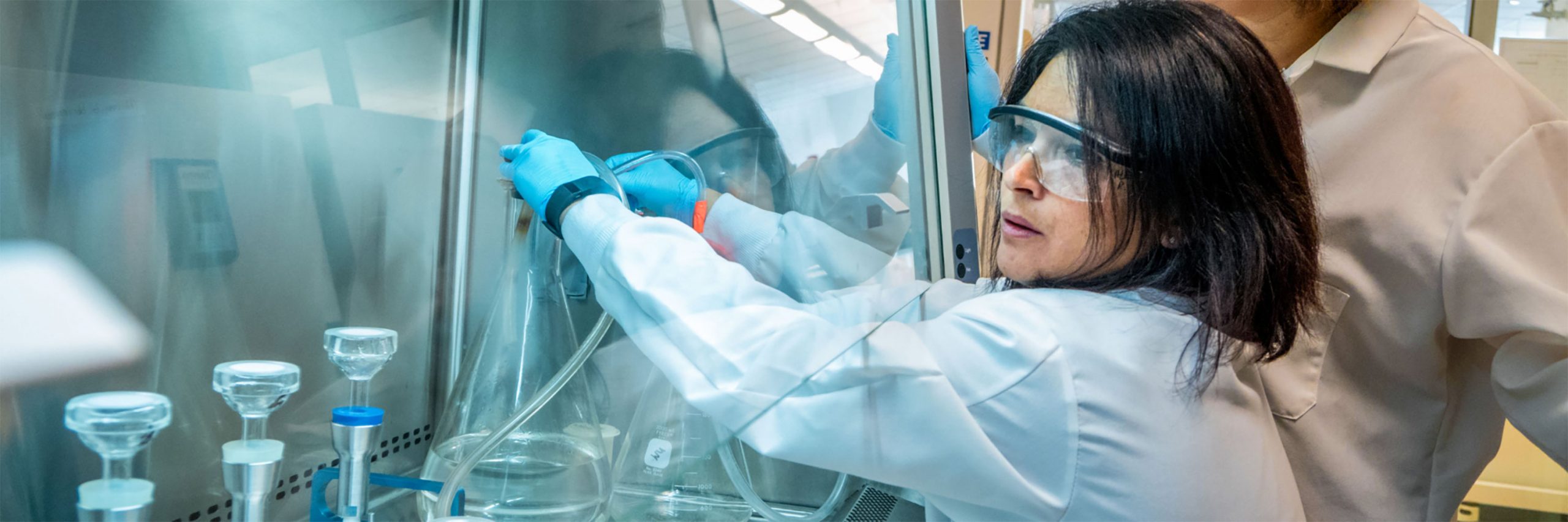 Total Coliforms And E. Coli – New Jersey Center For Water Science And ...